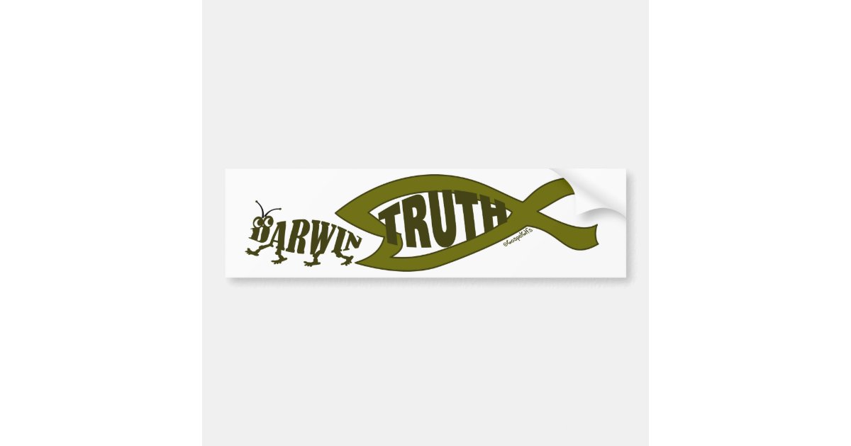Truth Wins Bumper Sticker | Zazzle