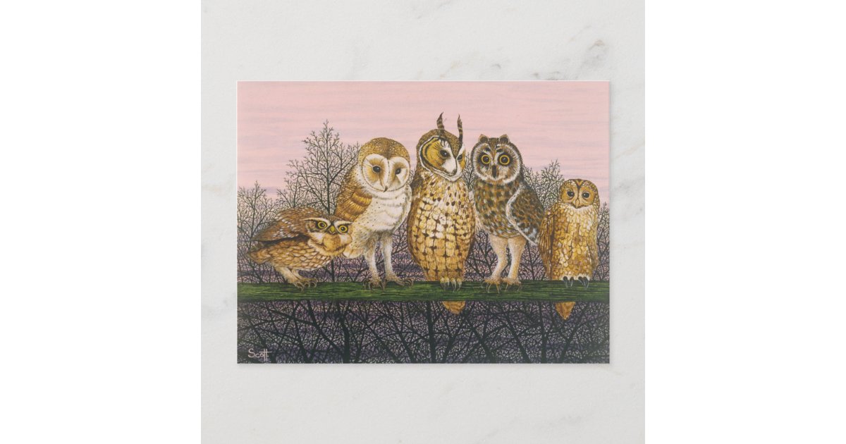 Tu-whit Tu-whooing Postcard | Zazzle