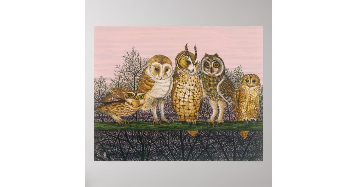 Tu-whit Tu-whooing Poster | Zazzle