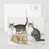 Tubby, Tiger and Tiny Original Art Postcard | Zazzle
