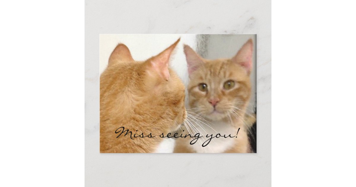 Tubo - Miss seeing you! Postcard | Zazzle