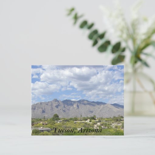 Tucson, Arizona postcard | Zazzle