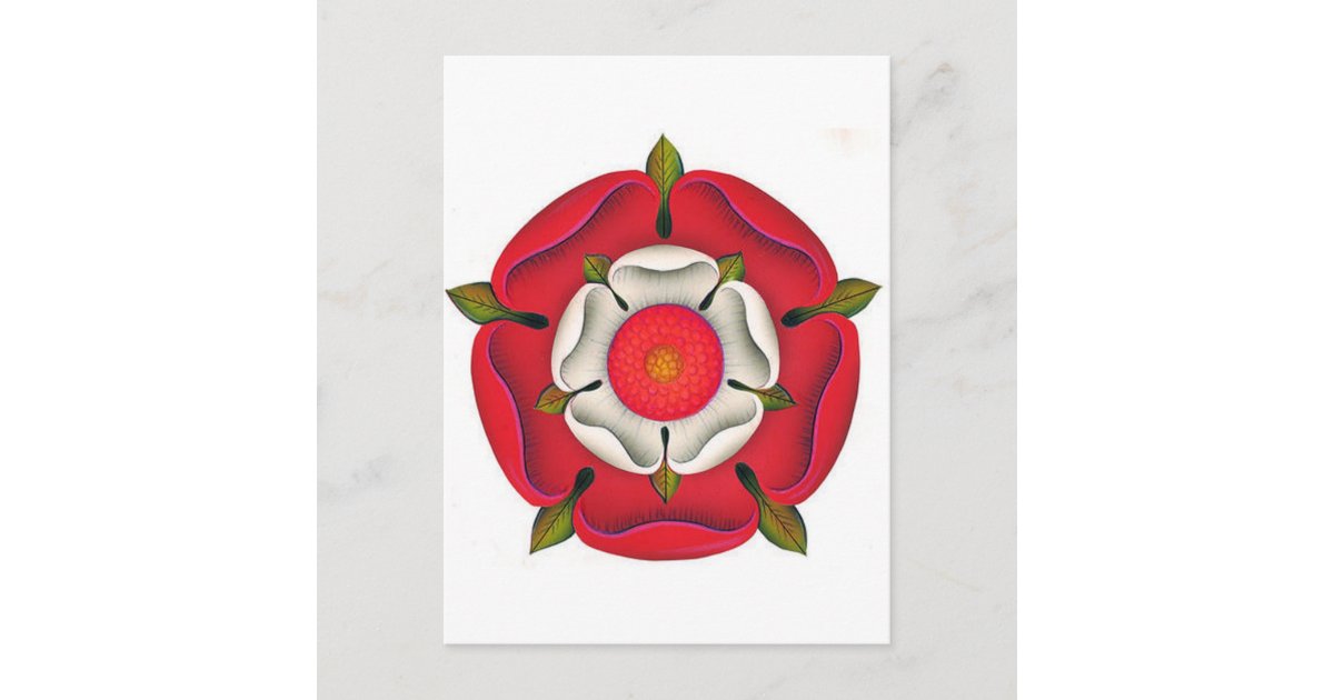 Tudor Rose Postcard | Zazzle