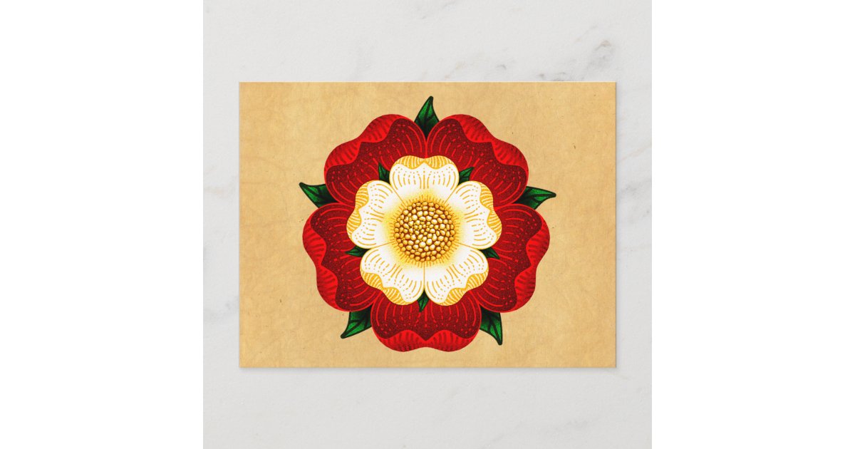 Tudor Rose Postcard | Zazzle