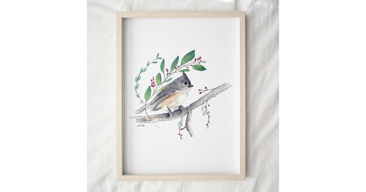 Tufted Titmouse Bird Art Print | Zazzle