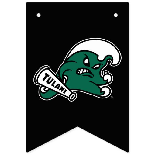 Tulane University Graduate Bunting Flags | Zazzle
