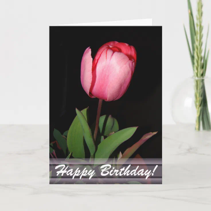 Tulip Happy Birthday Card Zazzle