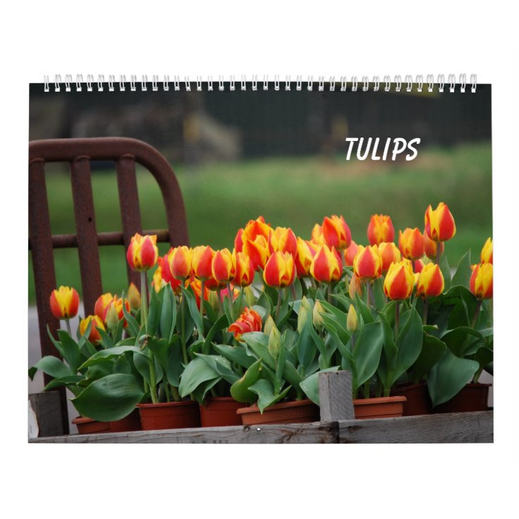 Tulips Calendar | Zazzle