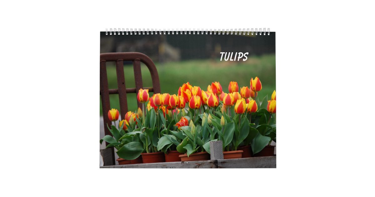 Tulips Calendar | Zazzle