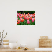 Tulips, tulips, tulips poster | Zazzle