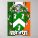 Tully Coat of Arms Irish Flag Print | Zazzle