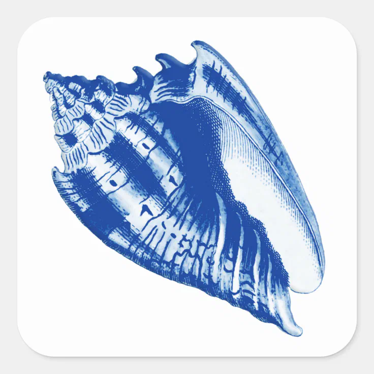 Turban Conch Shell, Indigo Blue and White Square Sticker | Zazzle
