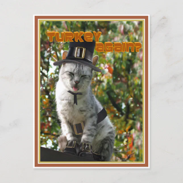 TURKEY AGAIN? Pilgrim Cat Postcard | Zazzle