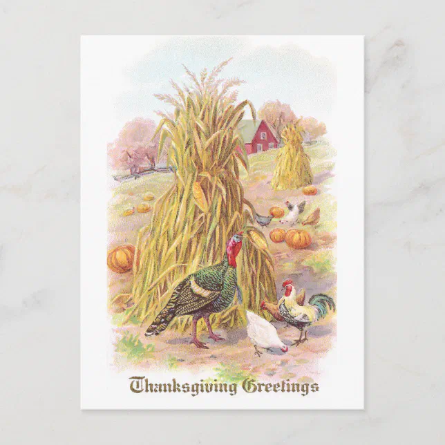 Turkey and Flock of Chickens Vintage Thanksgiving Holiday Postcard | Zazzle