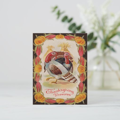 Turkey Corn Shock Stalk Pumpkin Indian Corn Postcard | Zazzle