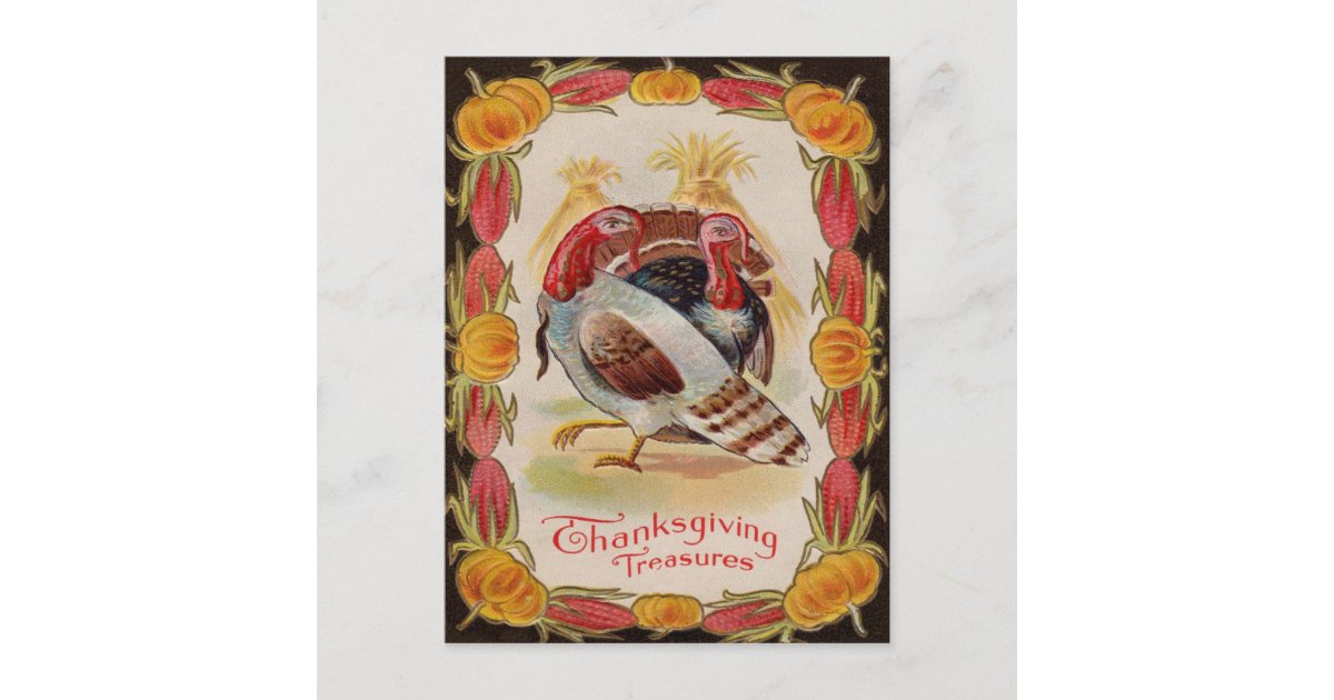 Turkey Corn Shock Stalk Pumpkin Indian Corn Postcard | Zazzle