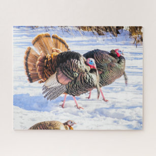 Turkey Jigsaw Puzzles | Zazzle