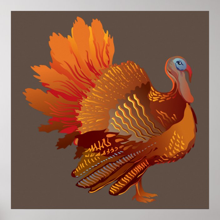 Turkey Poster | Zazzle.com