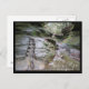 Turkey Run State Park Eroded Stairs Postcard | Zazzle