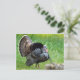 Turkey Time Postcard | Zazzle