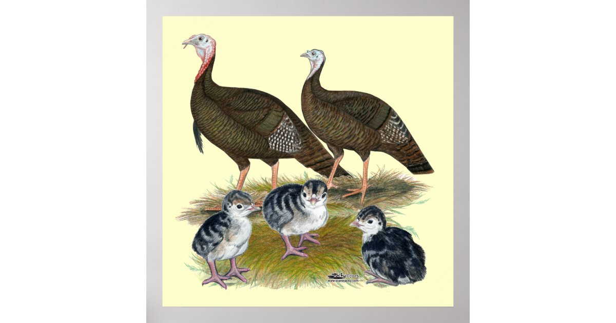 Turkeys Eastern Wild Family Poster | Zazzle