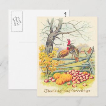 Turkeys Farm Pumpkin Apples Tree Fall Leaves Postcard | Zazzle