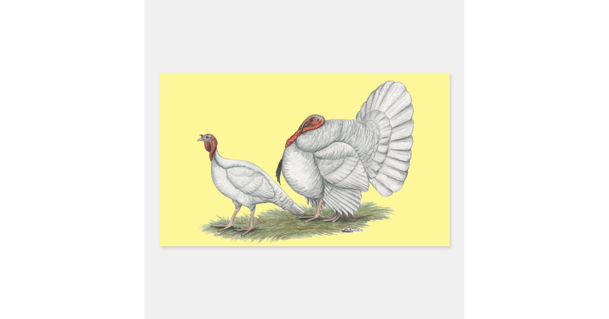 Turkeys White Holland Rectangular Sticker | Zazzle