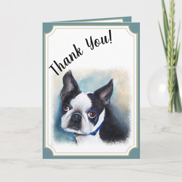 Boston Terrier Thank You Cards | Zazzle