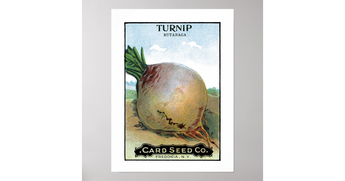Turnip Seed Packet Label Poster | Zazzle