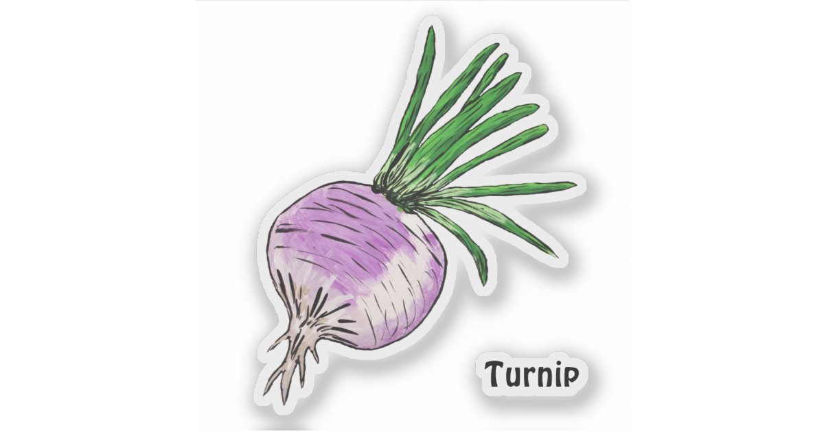 Turnip Sticker | Zazzle