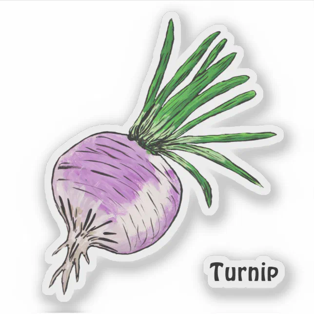 Turnip Sticker | Zazzle