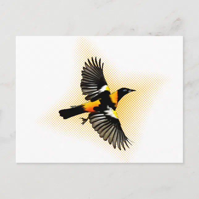 Turpial Postcard | Zazzle