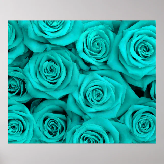 Turquoise Spectacular Roses Poster | Zazzle