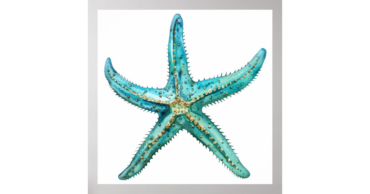 Turquoise starfish Poster | Zazzle