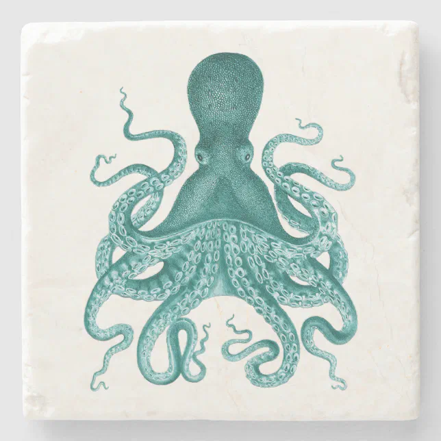 Turquoise Vintage Octopus Illustration Stone Coaster | Zazzle