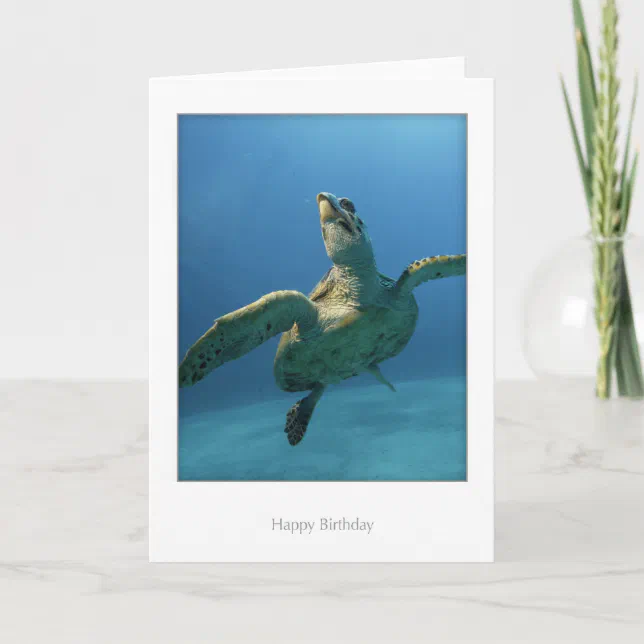 Turtle Birthday Card | Zazzle