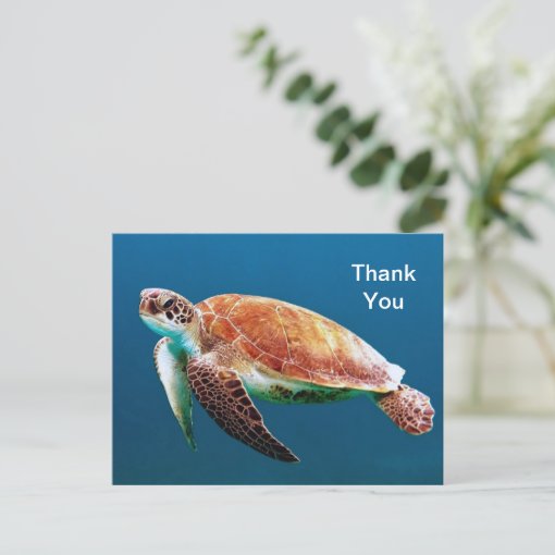 Turtle Blue Water Sea Photo Thank You Postcard | Zazzle