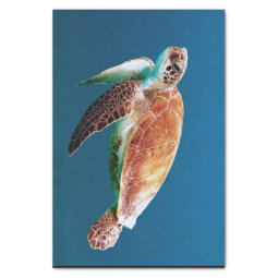 Turtle Blue Water Sea Photo Tissue Paper | Zazzle