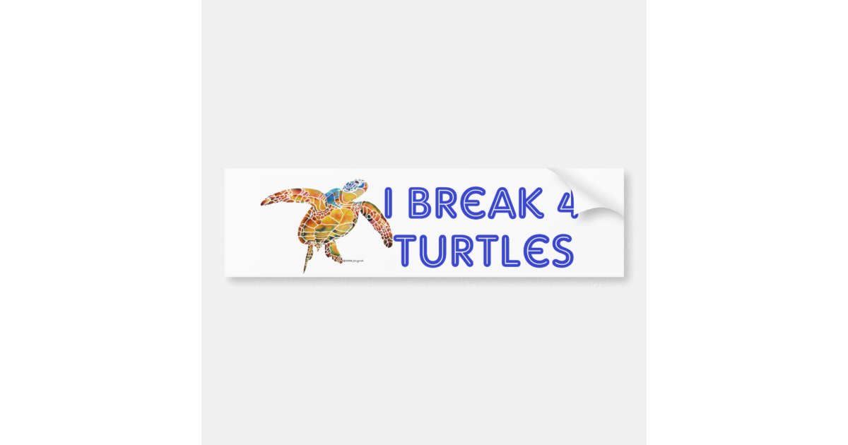Turtle Bumper Sticker | Zazzle