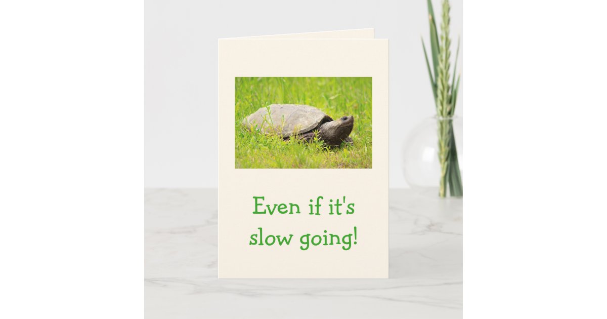 Turtle Encouragement Card | Zazzle