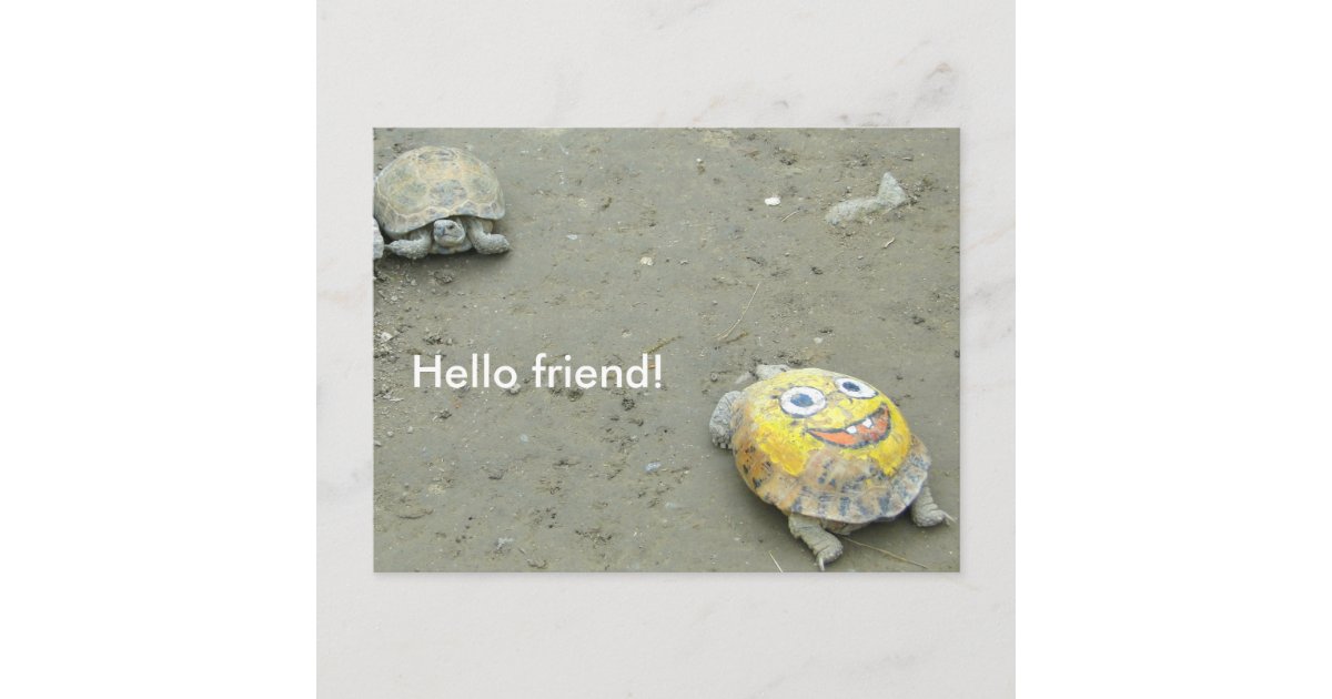 Turtle fan SpongeBob Postcard | Zazzle