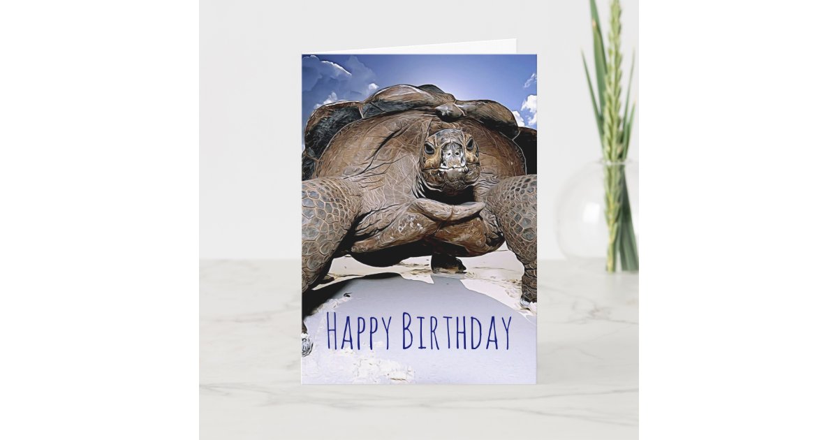 Turtle Happy Birthday Greeting Card | Zazzle