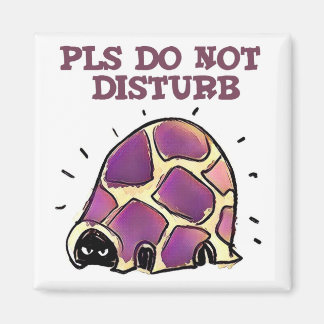 Do Not Disturb Refrigerator Magnets | Zazzle