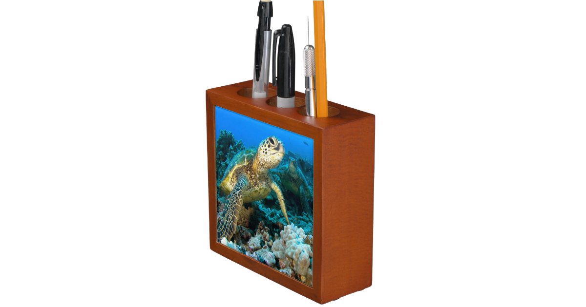 Turtle Pair Pencil Holder | Zazzle