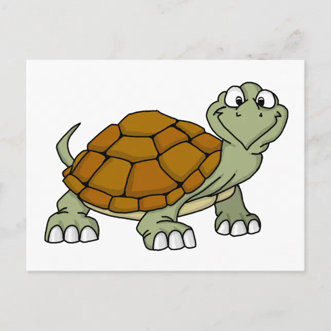 turtle postcard | Zazzle