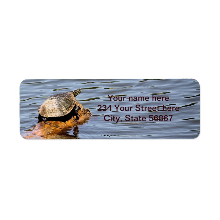 Turtle Return Address Labels | Zazzle.com