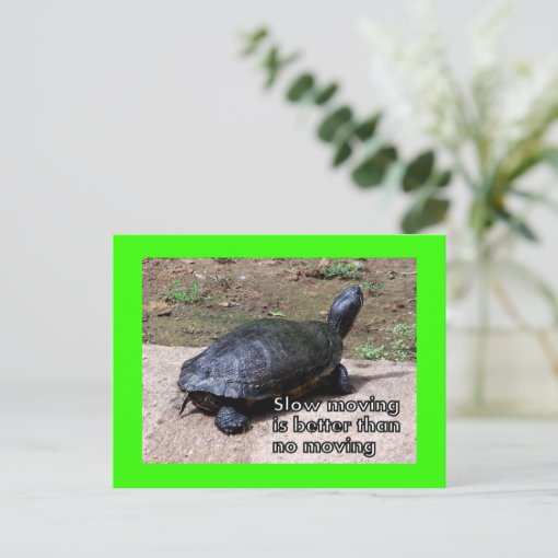 turtle slow Postcard | Zazzle