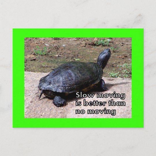 turtle slow Postcard | Zazzle.com
