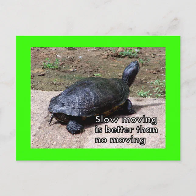 turtle slow Postcard | Zazzle
