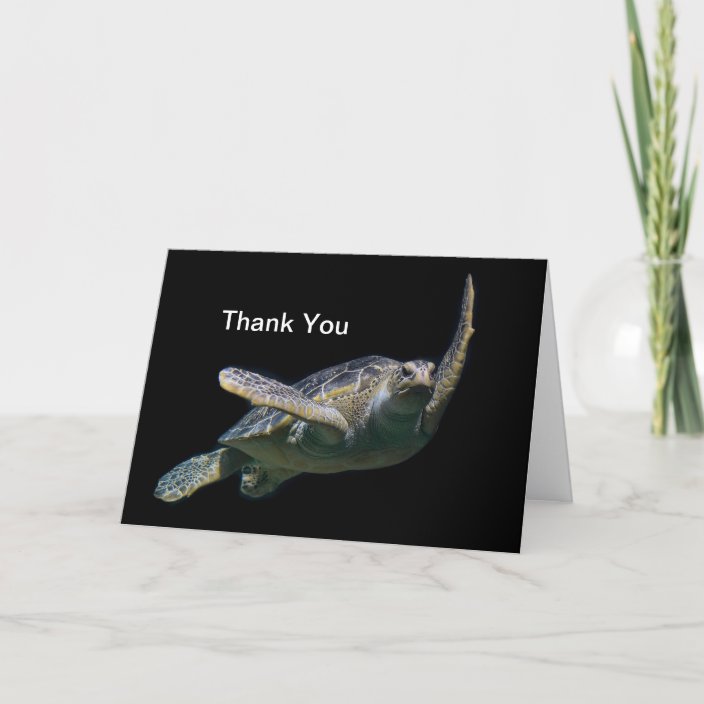 Turtle Swimming Sea Photo Thank You Card | Zazzle.com
